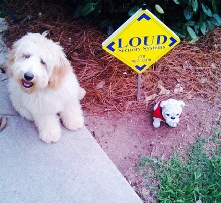 LOUD SECURITY SYSTEMS - Updated January 2026 - 13 Photos & 69 Verified ...