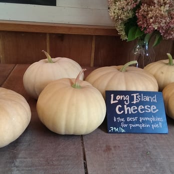 DEVON POINT FARM - Updated January 2026 - 38 Photos & 11 Reviews - 54 ...