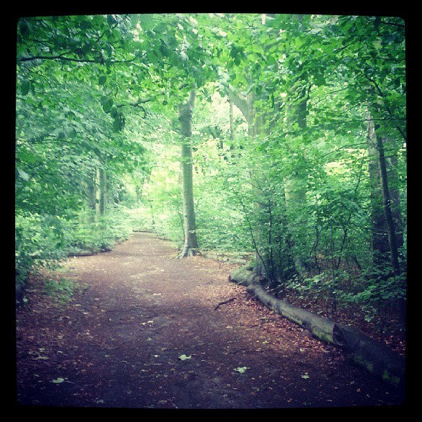 BECKETT PARK - Updated June 2025 - Foxcroft Close, Leeds, West ...