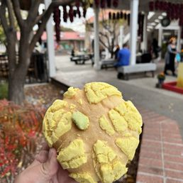 FLYING ROADRUNNER BAKERY - 65 Photos & 29 Reviews - 303 Romero St NW ...