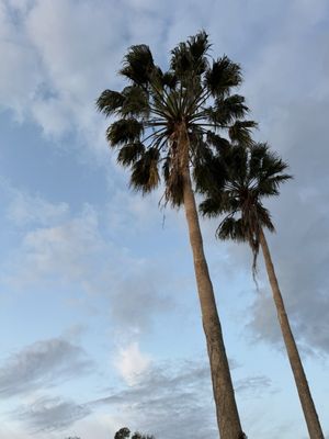 HEATHROW LEGACY COUNTRY CLUB - Updated December 2025 - 30 Photos & 13 ...