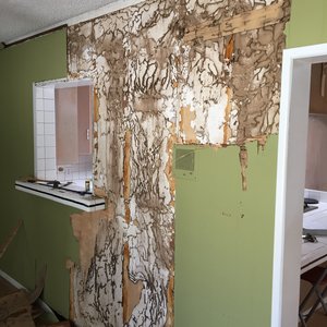 ALREADY A BETTER CHOICE TERMITE & PEST CONTROL - 57 Photos & 276 ...