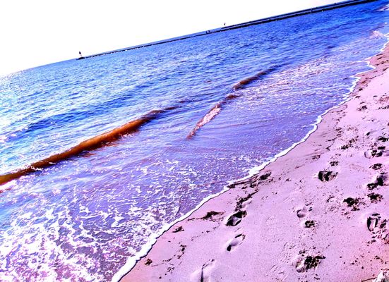 HIGBEE BEACH WILDLIFE MANAGEMENT AREA - 77 Photos & 11 Reviews ...