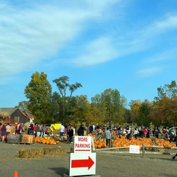 THREE CEDARS FARM - Updated October 2025 - 380 Photos & 145 Reviews ...