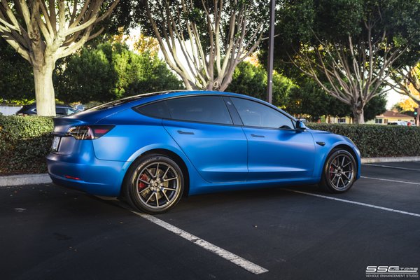 SS CUSTOMS - Updated December 2025 - 589 Photos & 240 Reviews - 3559 ...