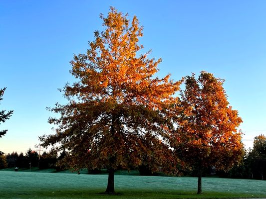 INDEPENDENCE PARK - Updated October 2025 - 36 Photos - 1898 Denton Rd ...