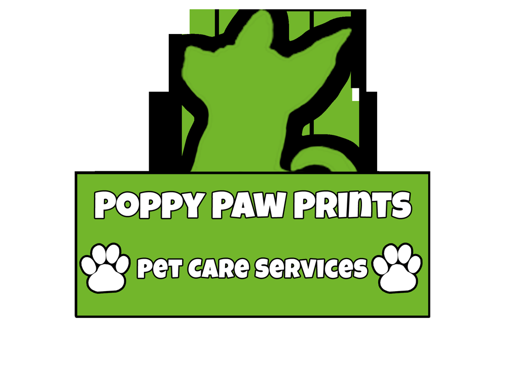 POPPY PAW PRINTS - Request Information - 1 Laurel Close, Halifax, West ...