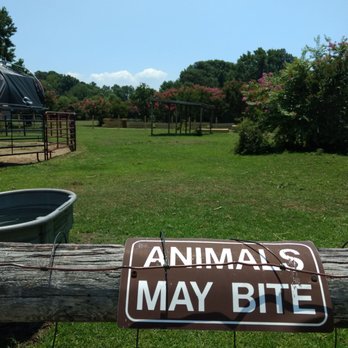 BLUEBIRD GAP FARM - Updated April 2024 - 155 Photos & 54 Reviews - 31 ...