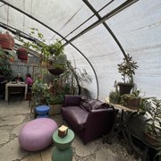 THE GREENHOUSE BAR - 216 Photos & 215 Reviews - 2211 Bandywood Dr ...