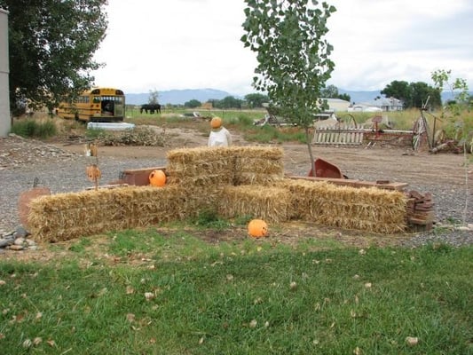 MOON FARM - 28 Photos - 1360 18 1/2 Rd, Fruita, CO - Yelp