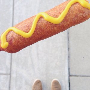 TAWAS BAY PRONTO PUP - 44 Photos & 12 Reviews - 113 Newman St, East ...