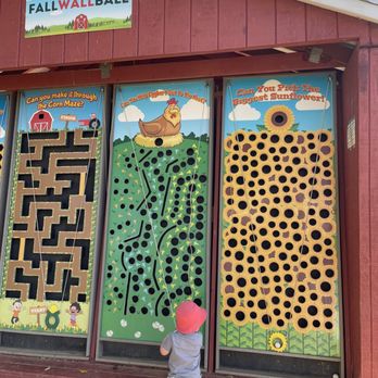 GAVER TREE FARM & PUMPKIN PATCH - Updated October 2025 - 283 Photos ...