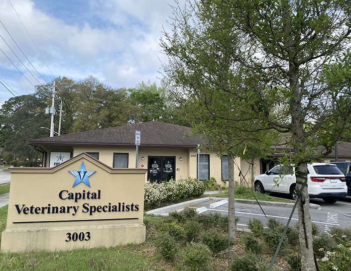 Capital Veterinary Specialists Jax