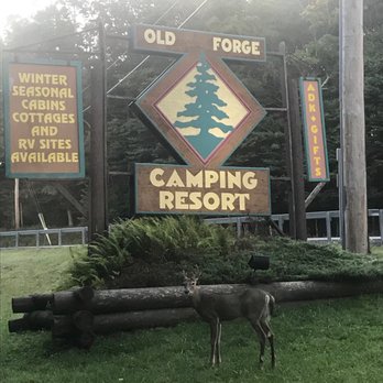OLD FORGE CAMPING RESORT - Updated September 2024 - 63 Photos & 26 ...