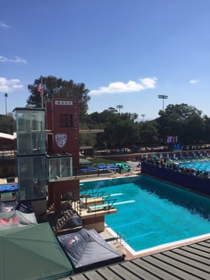 AVERY AQUATIC CENTER - Updated December 2025 - 12 Photos - 355 Galvez ...