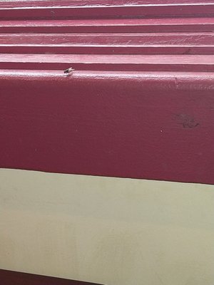 WORLD BUFFET - Updated December 2024 - 73 Photos & 84 Reviews - 499 D ...