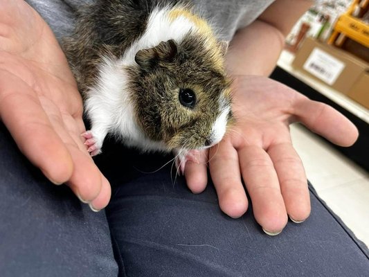 ANIMAL HOUSE - Updated November 2025 - 21 Photos & 12 Reviews - 2934 ...