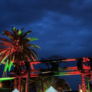 COTTOM FARM’S CHRISTMAS VILLAGE - Updated July 2025 - 25 Photos - 16400 ...