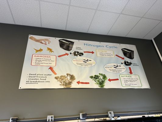 FISH FREAKS - Updated September 2025 - 27 Photos & 35 Reviews - 2502 S ...