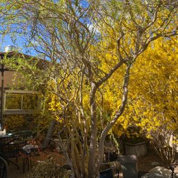 THE STONE HOUSE CAFE - Updated December 2025 - 1467 Photos & 1494 ...