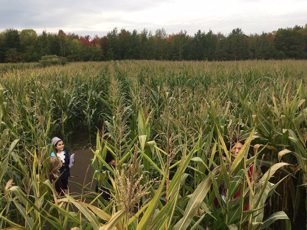 VERGER LABONTE - Updated November 2025 - 2291 Boul Perrot, Notre-Dame ...