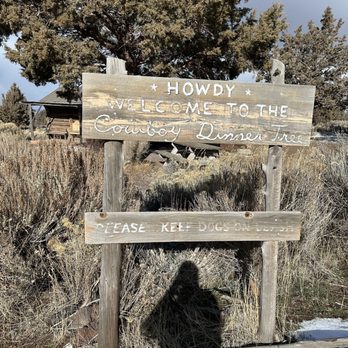 COWBOY DINNER TREE - Updated December 2024 - 308 Photos & 171 Reviews ...