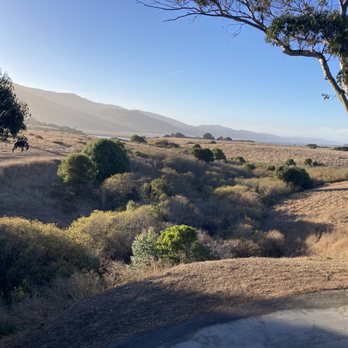 THE BLACK HERON INN - Updated January 2026 - 81 Photos & 49 Reviews ...