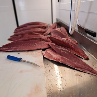 ELITE FISH PROCESSING - Updated October 2025 - 115 Photos - San Diego ...