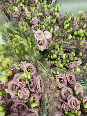 POTOMAC FLORAL WHOLESALE - Updated August 2024 - 167 Photos & 90 ...