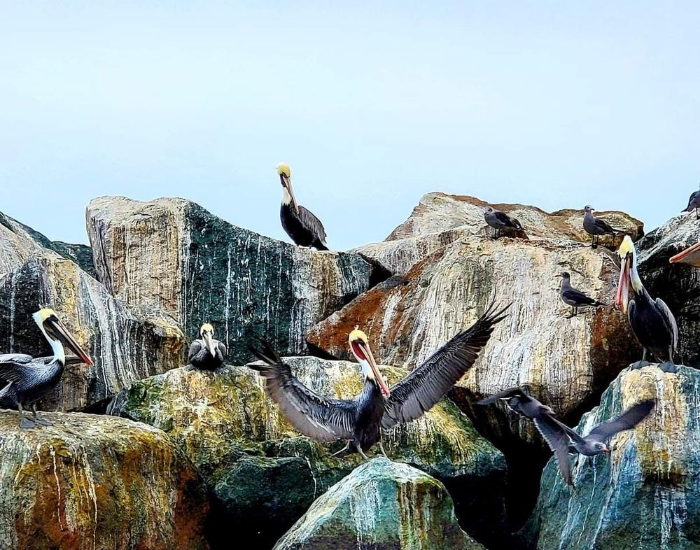 SLO TOURS - 86 Photos & 38 Reviews - 3975 Avila Beach Dr, San Luis ...