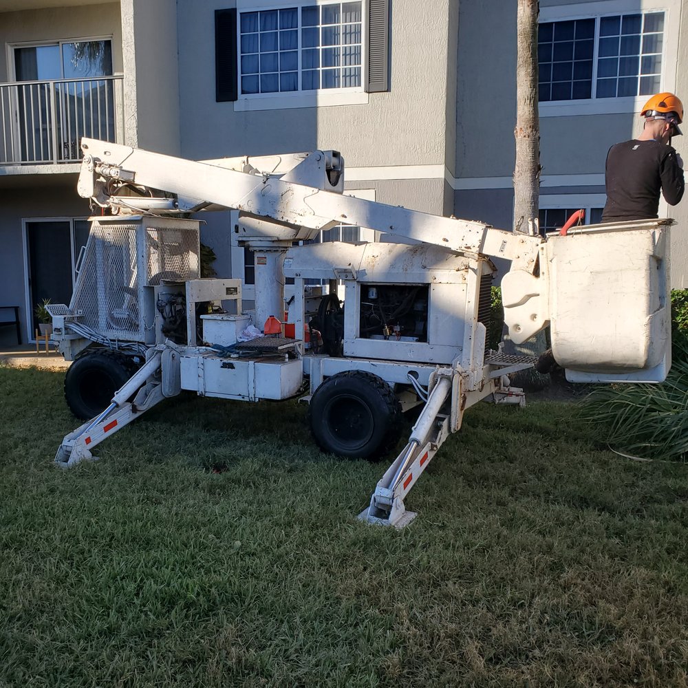 CENTRAL FLORIDA TREE PROS - Updated July 2025 - 3 Bryan James Way ...