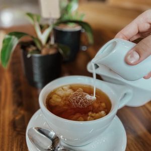 CAT DADDY CAT CAFE - Updated May 2025 - 25 Photos - 2533 US-176 ...