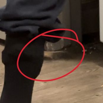 SAGA RENO - Updated January 2026 - 41 Photos & 79 Reviews - 2780 ...