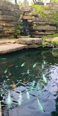 EAGLE POINT PARK - Updated July 2024 - 66 Photos & 27 Reviews ...