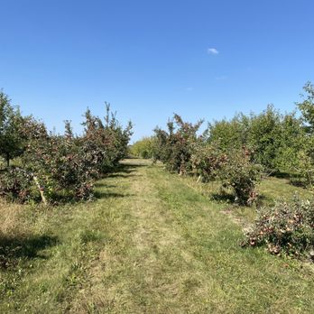 STUCKEY FARM ORCHARD AND CIDER MILL - Updated September 2025 - 195 ...