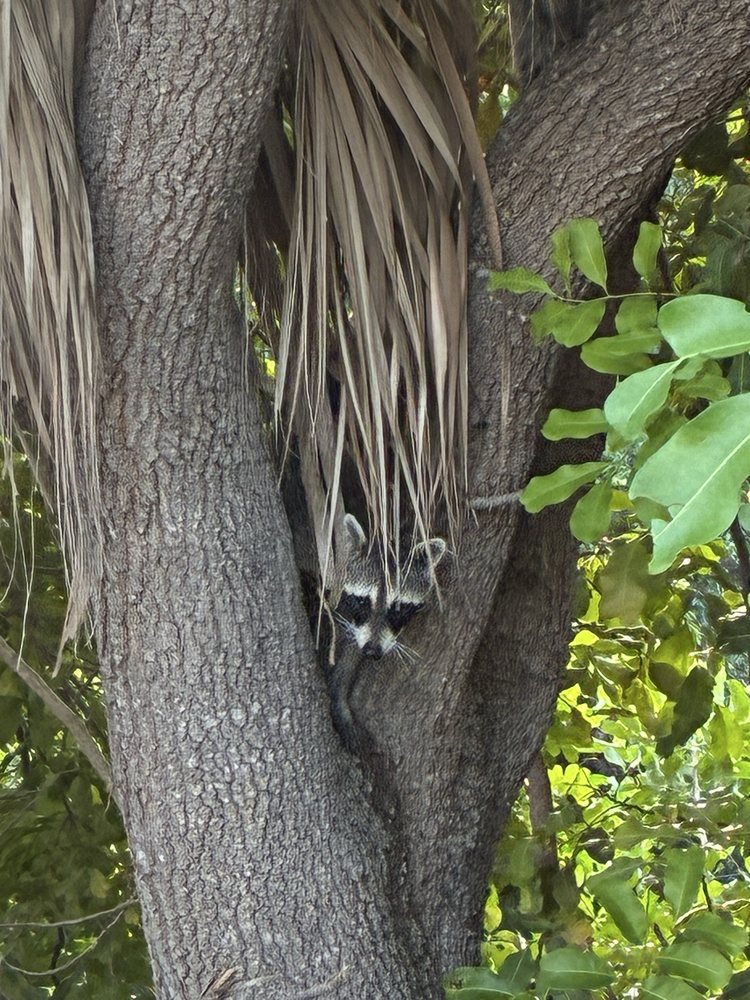 EL RIO TRAIL - Updated January 2026 - 108 Photos & 13 Reviews - El Rio ...