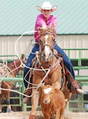 BIG COUNTRY FARM CENTER - Updated July 2025 - 11 Photos - 1800 17th St ...