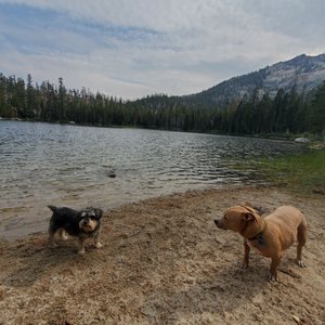 CARSON RIVER RESORT - Updated March 2025 - 82 Photos & 40 Reviews ...