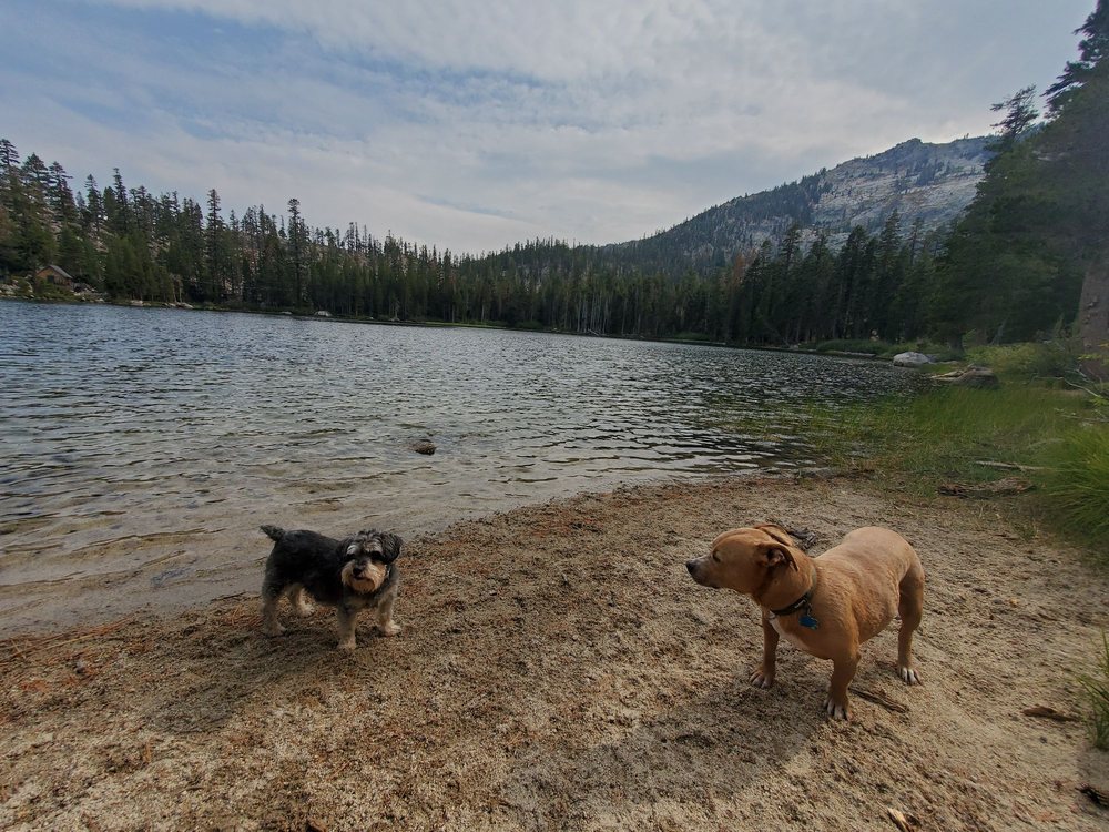 ANGORA LAKES RESORT - Updated July 2025 - 128 Photos & 37 Reviews ...