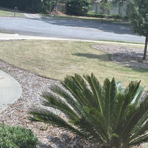 ASTRO EXTERMINATING SERVICES - Updated August 2025 - 19450 Valdosta Hwy ...