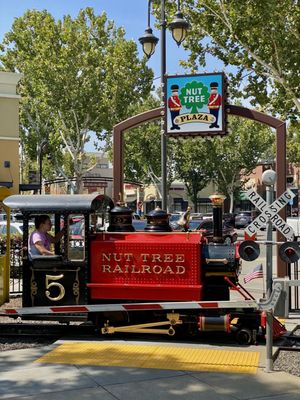 NUT TREE - Updated June 2024 - 280 Photos & 124 Reviews - 1661 E Monte ...