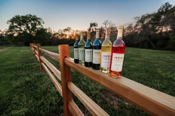 DEEPROOTS VINEYARDS - Updated December 2025 - 99 Photos & 37 Reviews ...