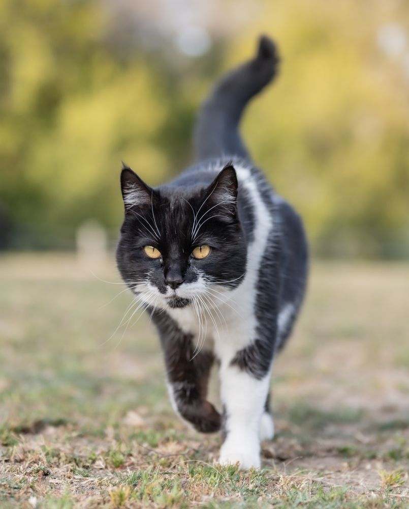 CARSON FRENCH PHOTOGRAPHY - Updated March 2025 - 28 Photos - Los ...