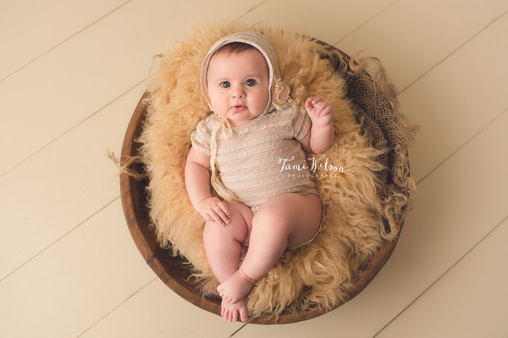 TAMI WILSON PHOTOGRAPHY - Updated October 2024 - Request a Quote ...