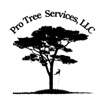 PRO TREE SERVICES - Updated October 2025 - 14 Photos - Baltimore ...