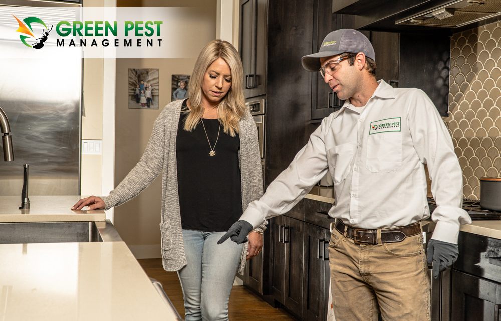 GREEN PEST MANAGEMENT - 14 Photos & 17 Reviews - Pest Control - 18 ...
