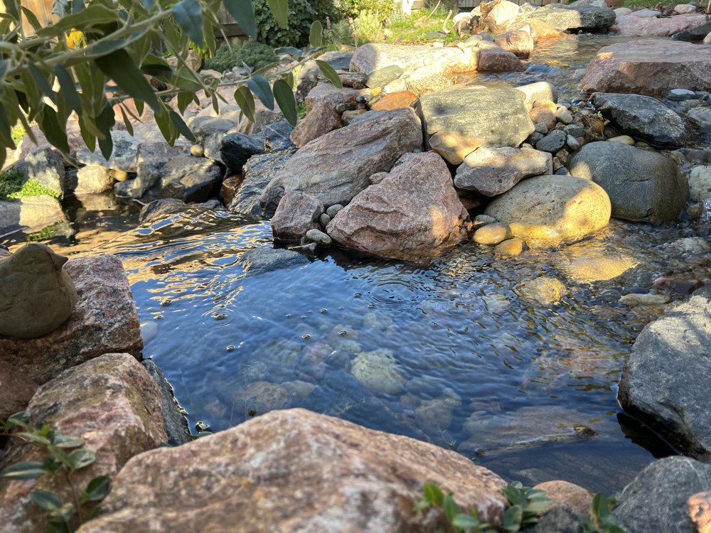 OASIS POND AND GARDENS - Updated December 2025 - Request a Quote ...