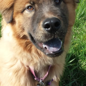 WHATCOM HUMANE SOCIETY - Updated January 2026 - 124 Photos & 43 Reviews ...