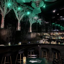 Bartini - Trusted Since 2007 - Updated July 2025 - 495 Photos - 638 ...