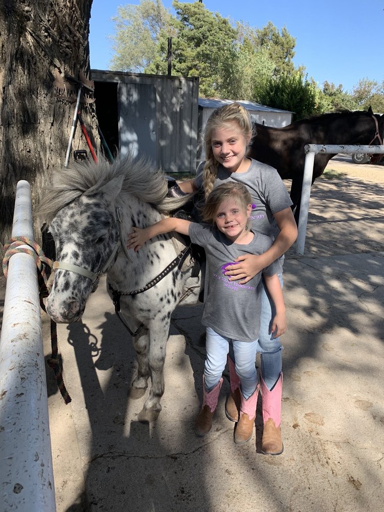 C-ARROW STABLES - Updated December 2025 - 22 Photos & 11 Reviews - 5911 ...